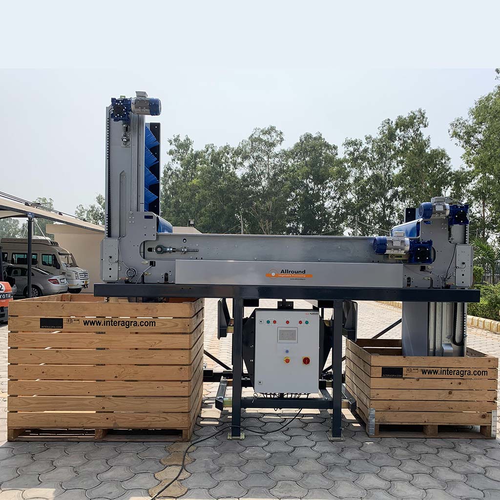 Vertical box filler - Allround Vegetable Processing