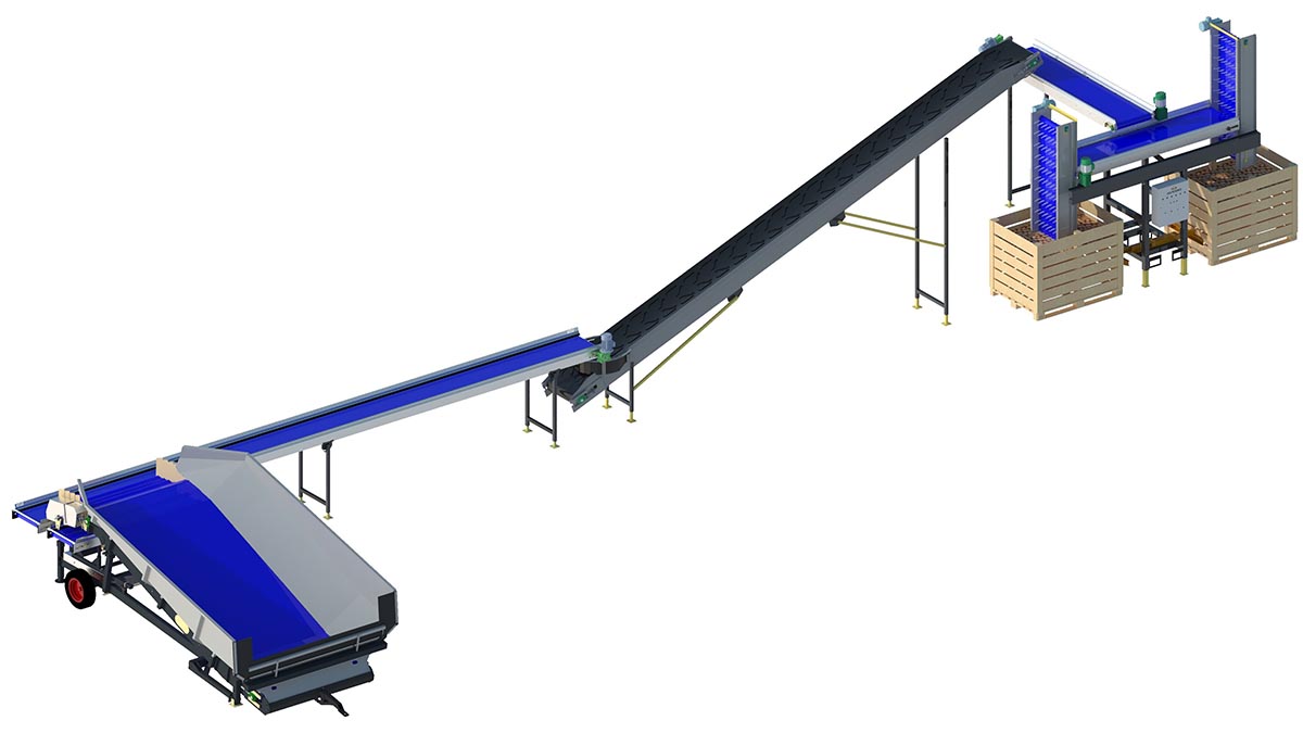 Receiving and box filling line VBF70 series - Allround Vegetable Processing